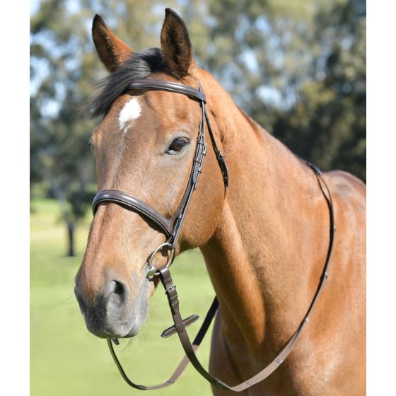 Kincade Classic Plain Raised Cavesson Bridle With Reins Brown