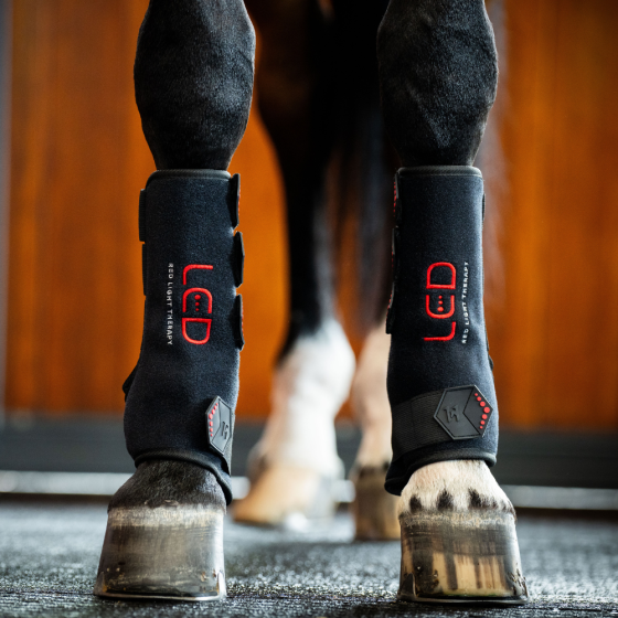 Horseware LED Red Light Therapy Single Leg Wrap Black