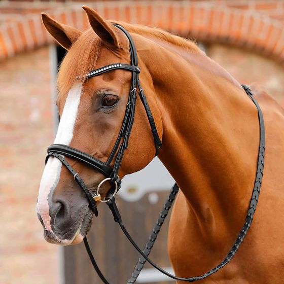 Premier Equine Bellissima Crank Noseband Bridle Diamante Browband