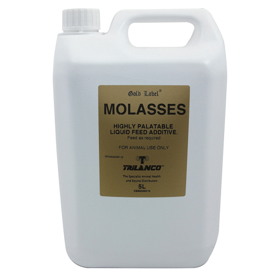 Gold Label Molasses Liquid | Buy Online