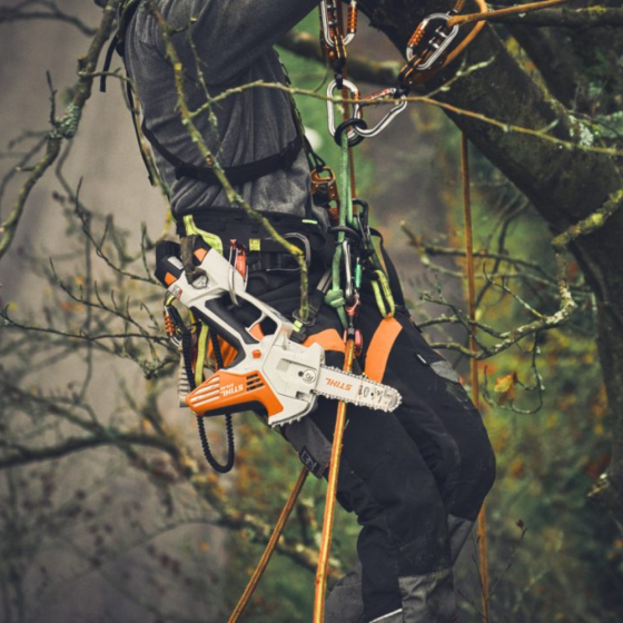 STIHL GTA 40 Cordless Pruner Kit (Inc. Batteries & Charger)