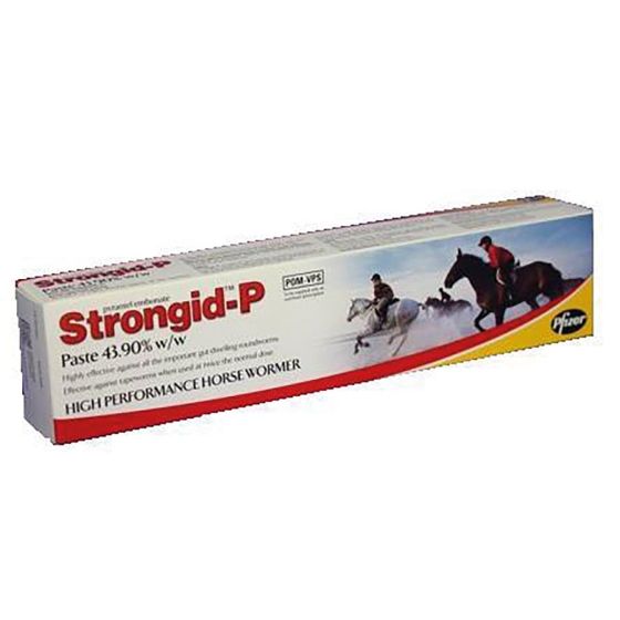 Strongid-P Paste Horse Wormer | Chelford Farm Supplies