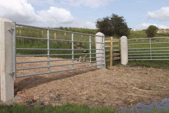 IAE Ashbourne Field Gate from Chelford Farm Supplies