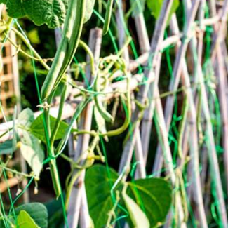 Timber & Fencing Supplies | Chelford Farm Supplies | Cheshire