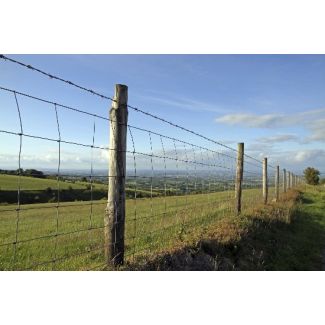 Timber Fence Panels & Posts for Farms & Gardens