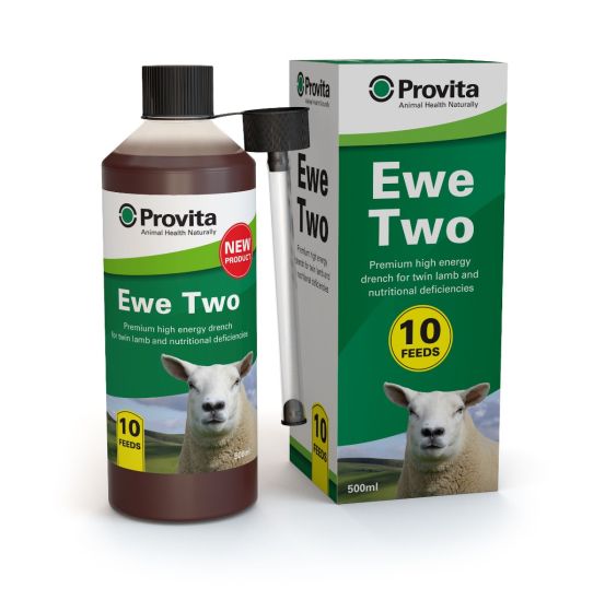 Provita Ewe Two Energy Supplement Oral Drench