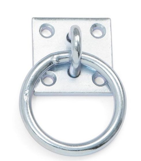 Shires Tie Ring With Plate From Chelford Farm Supplies