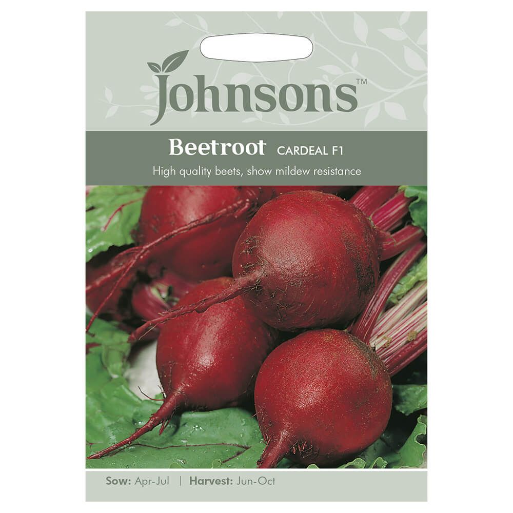 Johnsons Beetroot Cardeal F1 Seeds | Buy Online