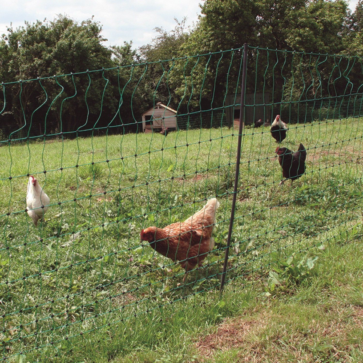 Rutland Electric Fencing Poultry Net Green from Chelford Farm Supplies