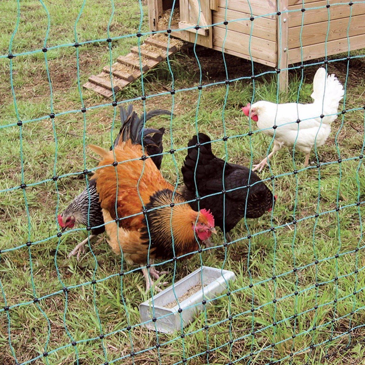 Rutland Electric Fencing Poultry Net Green from Chelford Farm Supplies