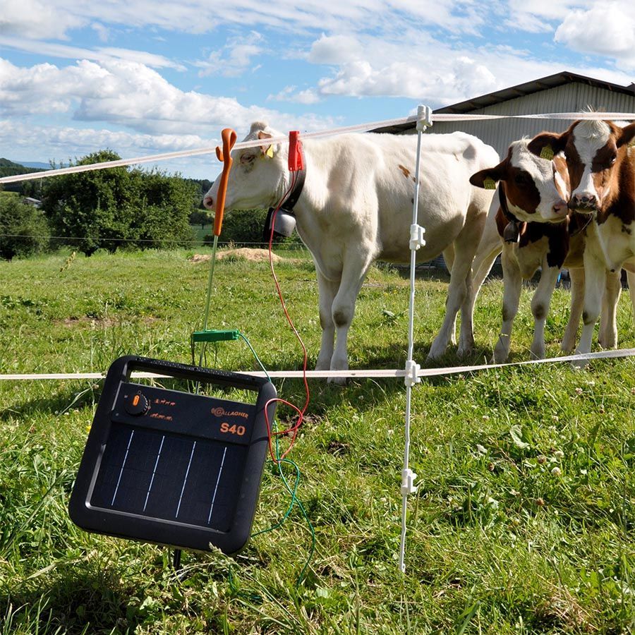 Gallagher S40 Solar-Powered Electric Fencing Energiser