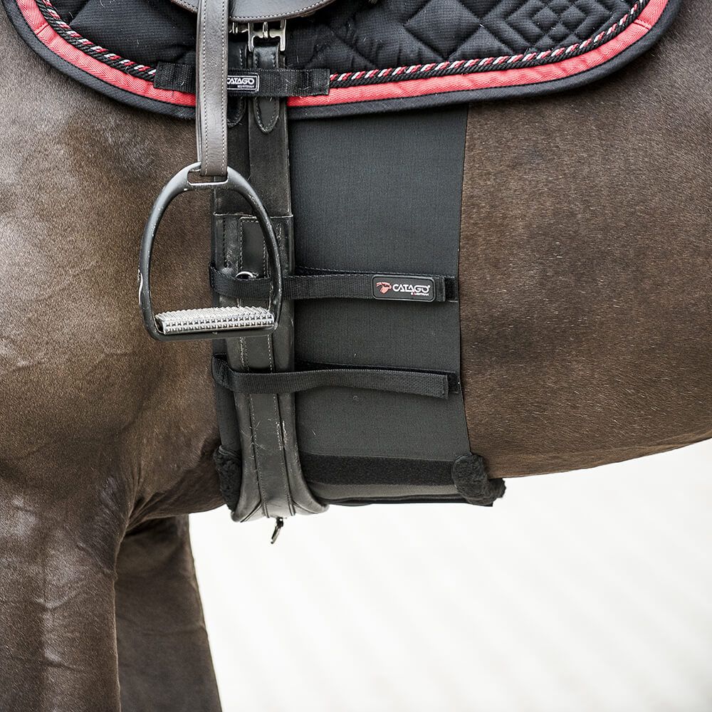 Catago Belly Band Spur Body Shield | Chelford Farm Supplies