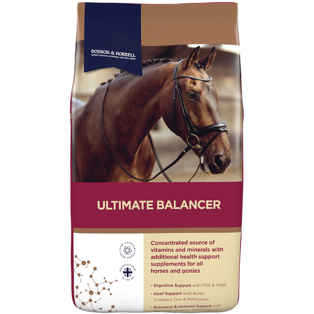 Dodson & Horrell Ultimate Balancer 20kg