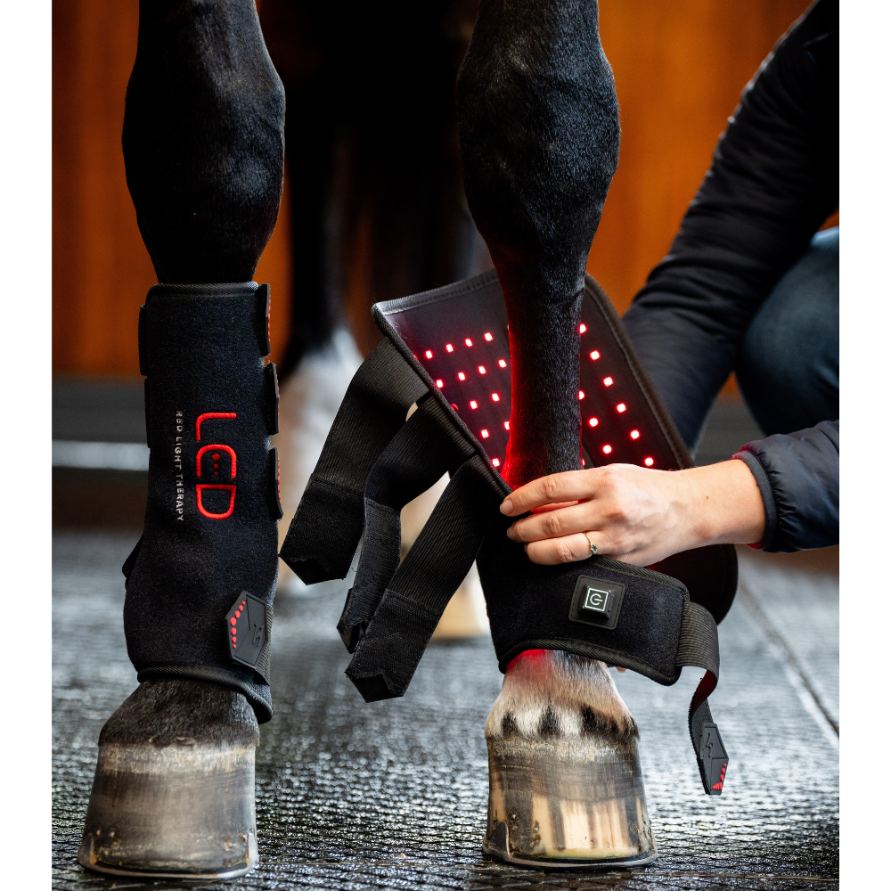 Horseware LED Red Light Therapy Single Leg Wrap Black
