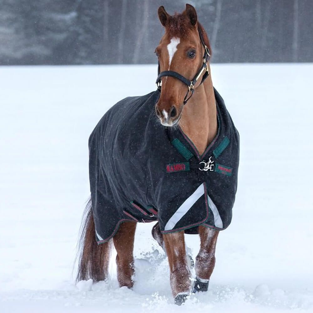 Horseware Rambo Wug Heavy 400g Turnout Rug | Chelford Farm Supplies
