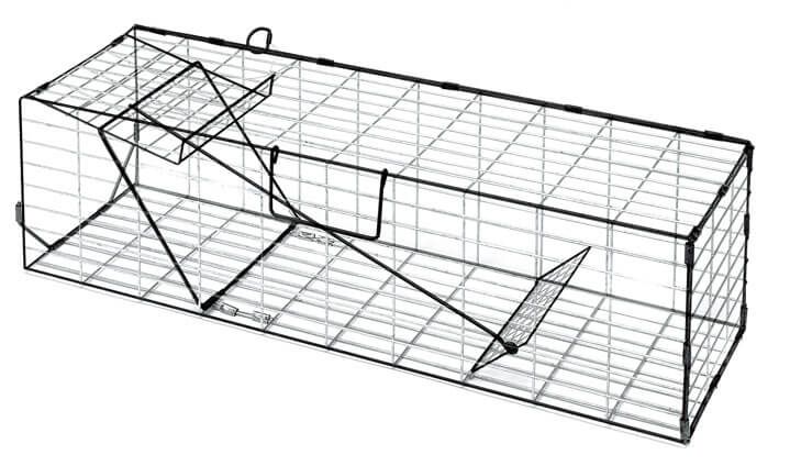 humane rabbit trap uk