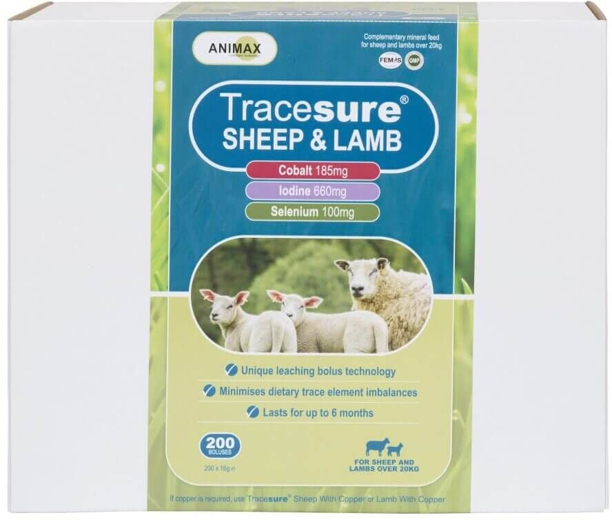 Animax Tracesure® Sheep & Lamb Bolus 200 Pack - Chelford Farm Supplies