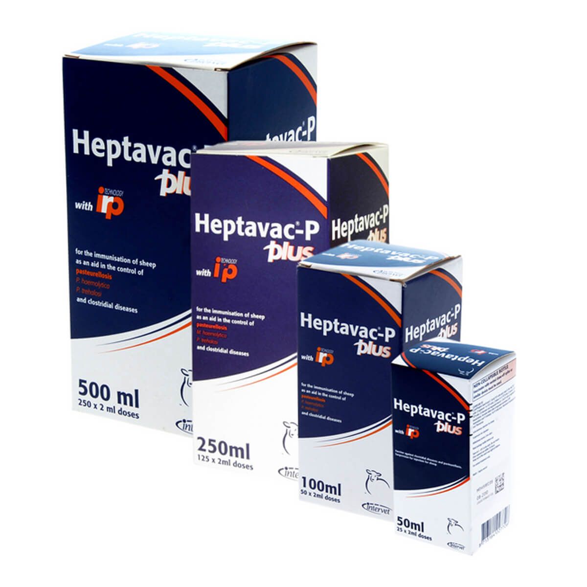 Heptavac P Plus Lamb & Sheep Vaccination | Buy Online