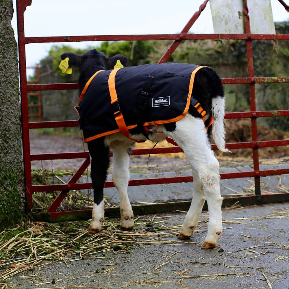 Animac Super Calf Jacket | Chelford Farm Supplies