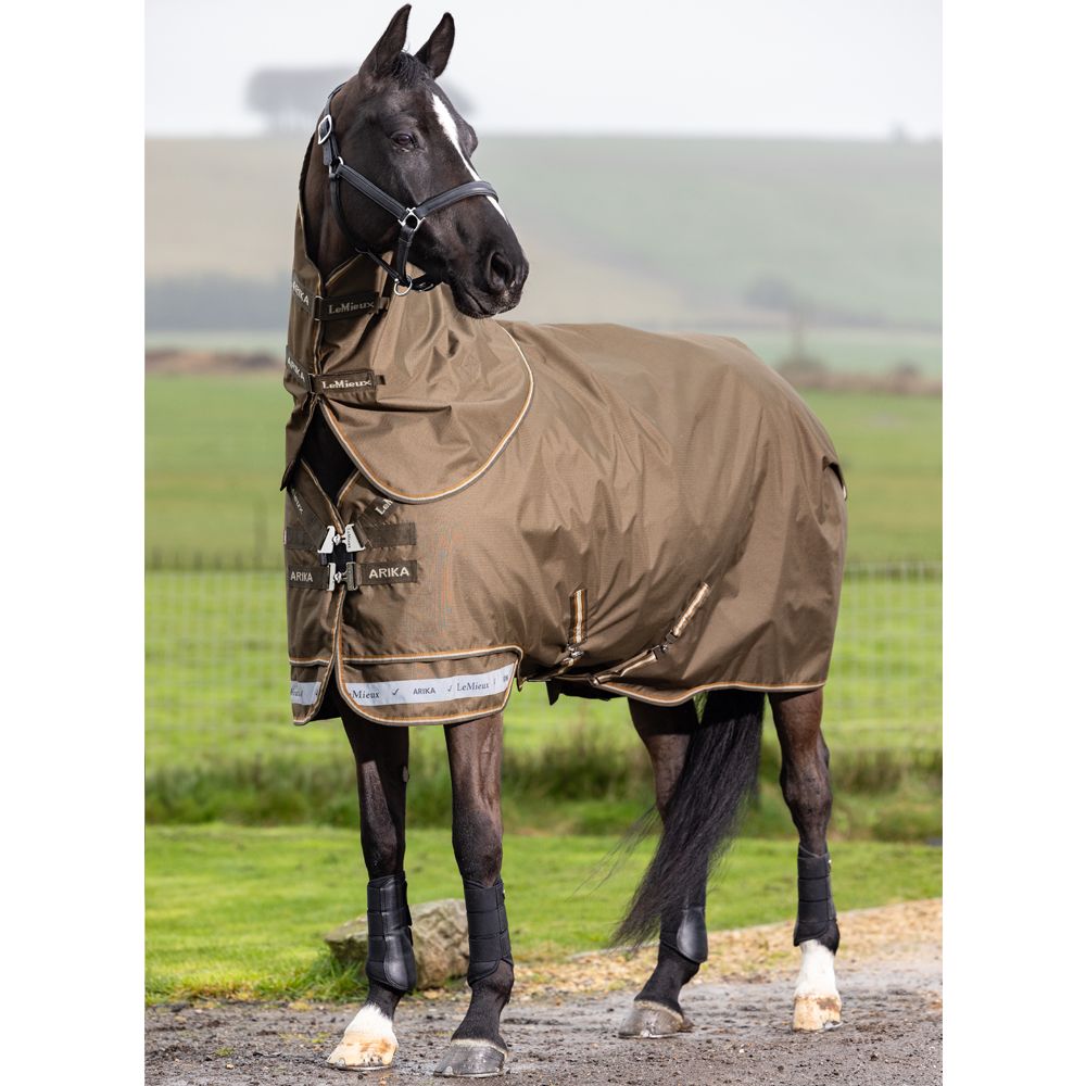 LeMieux Arika Ripstop 50G Turnout Rug Alpine
