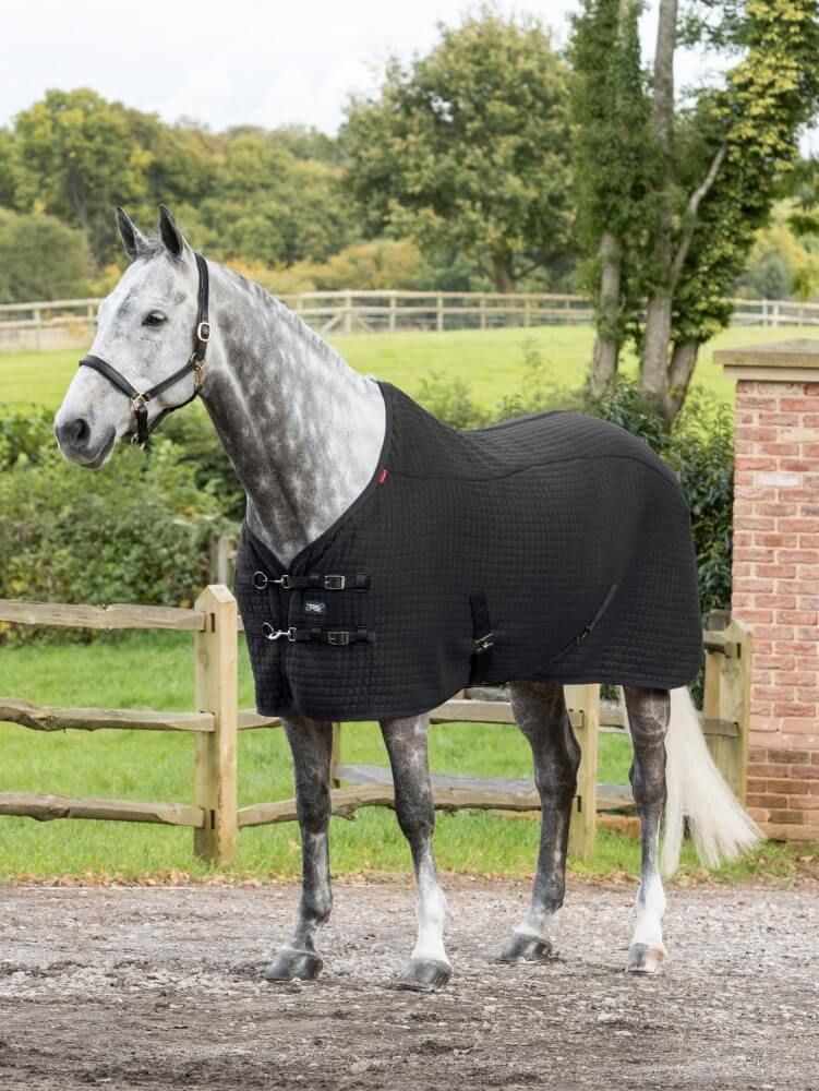 LeMieux Thermo-Cool Rug Black - Chelford Farm Supplies