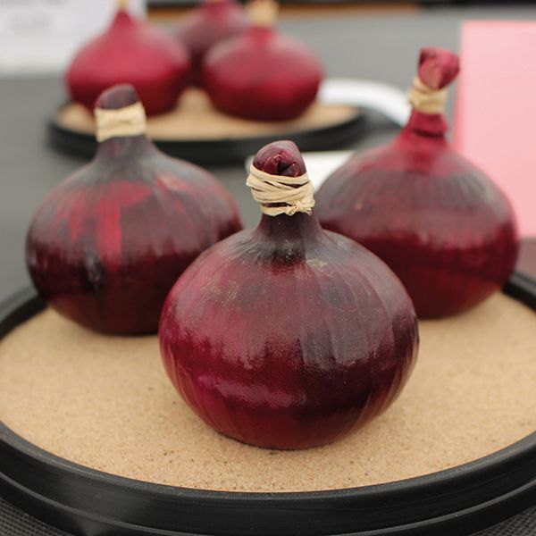 Mr Fothergill's Onion Red Baron Seeds