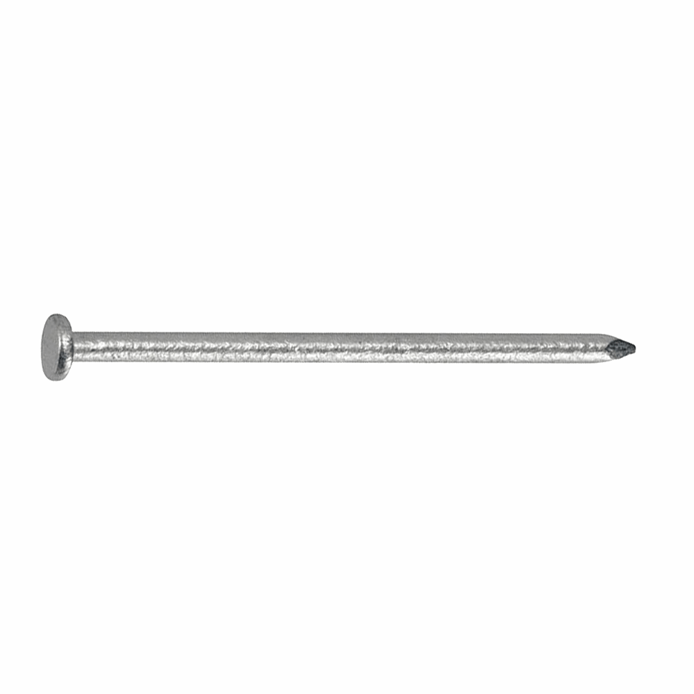 Eliza Tinsley Round Head Nails Galvanised 100mm (L) 2.5kg | Buy Online