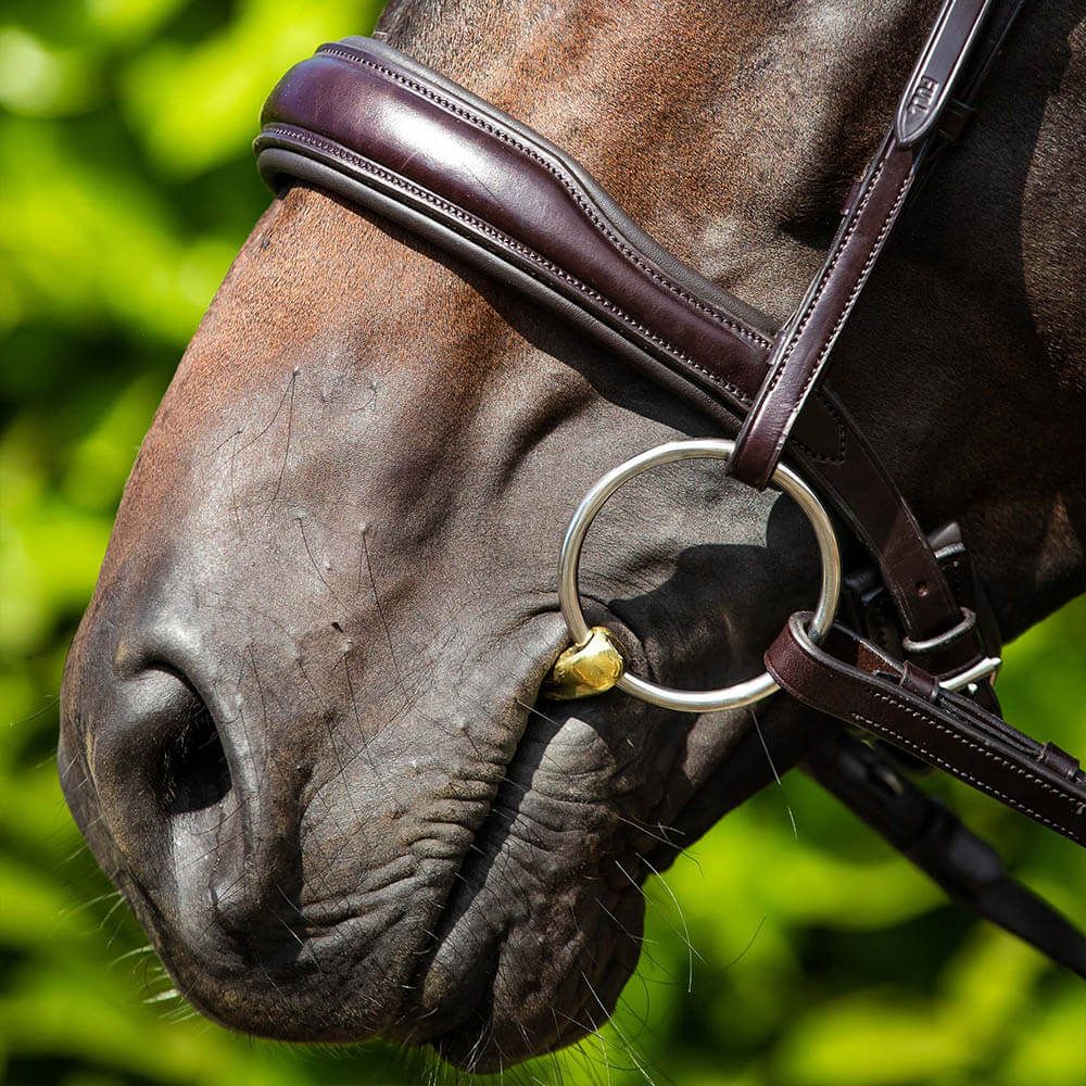 Premier Equine Verdura Anatomic Snaffle Bridle