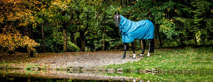 Amigo Rugs | Affordable Rugs For Horses | Chelford Farm Supplies