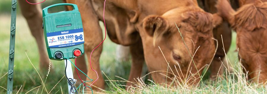 Grounding an Electric Fence: Easy Setup for Better Performance