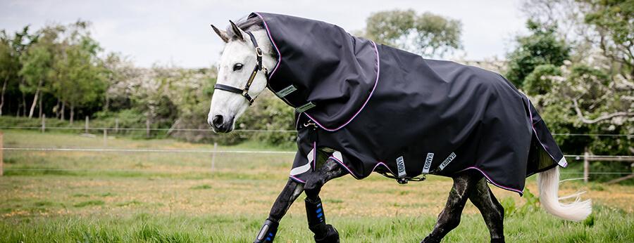 Rambo Rugs | Horse Rugs That Last | Chelford Farm Supplies