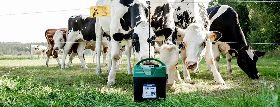 Ultimate Guide to Electric Fencing - Chelford Farm Supplies