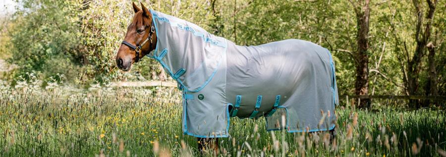 Ultimate Fly Guide For Your Horse | Chelford Farm Supplies