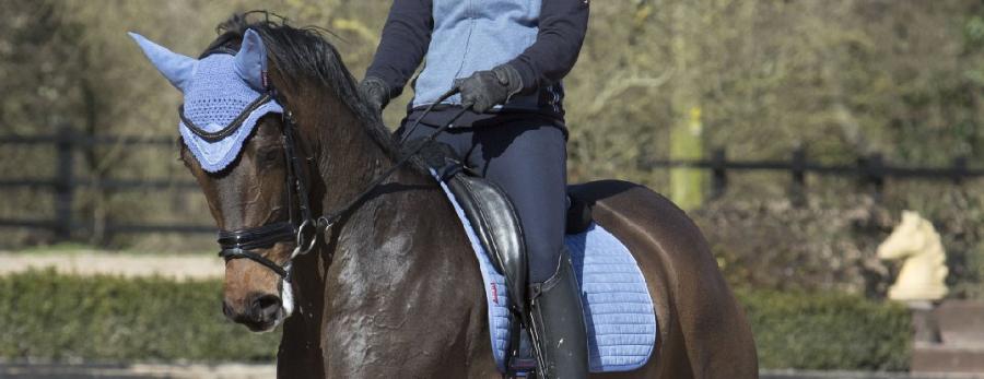 Top Tips: How To Ride A Perfect 15m Circle!