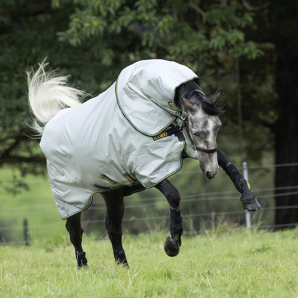 Rambo Rugs | Horse Rugs That Last | Chelford Farm Supplies