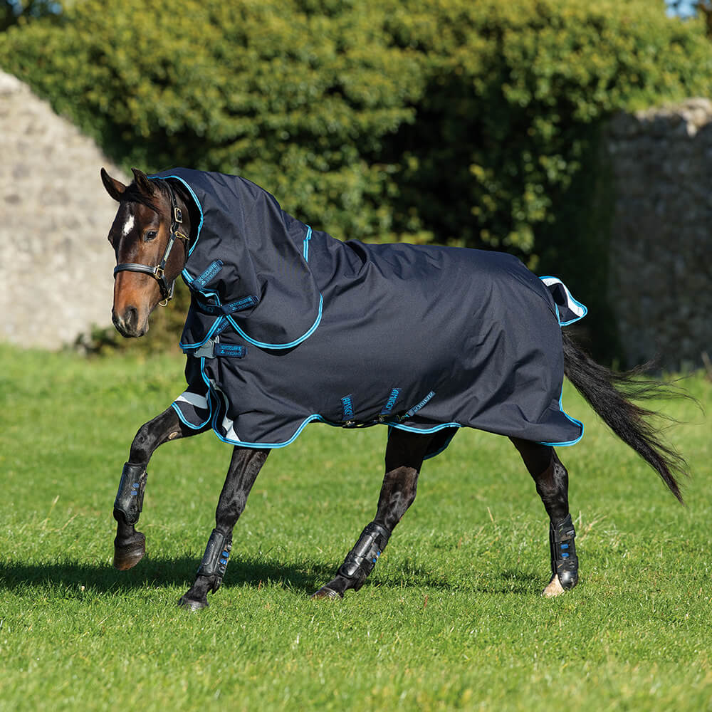 Amigo Rugs | Affordable Rugs For Horses | Chelford Farm Supplies