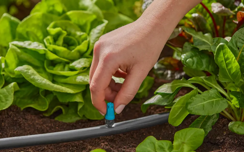 How to Set Up a Gardena Drip Irrigation System