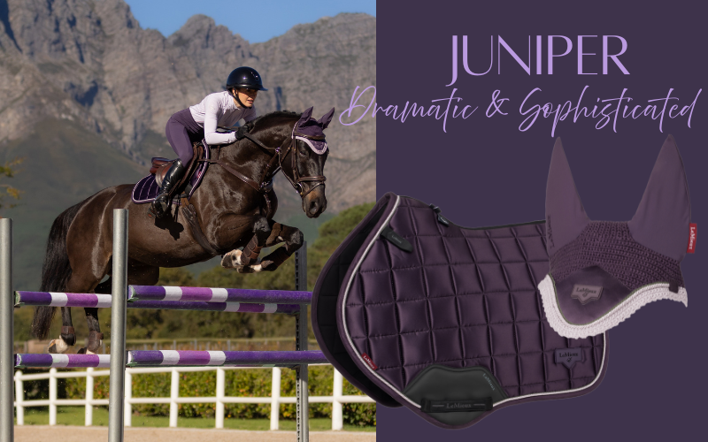 LeMieux Autumn/Winter 2025 – New Colours Collection