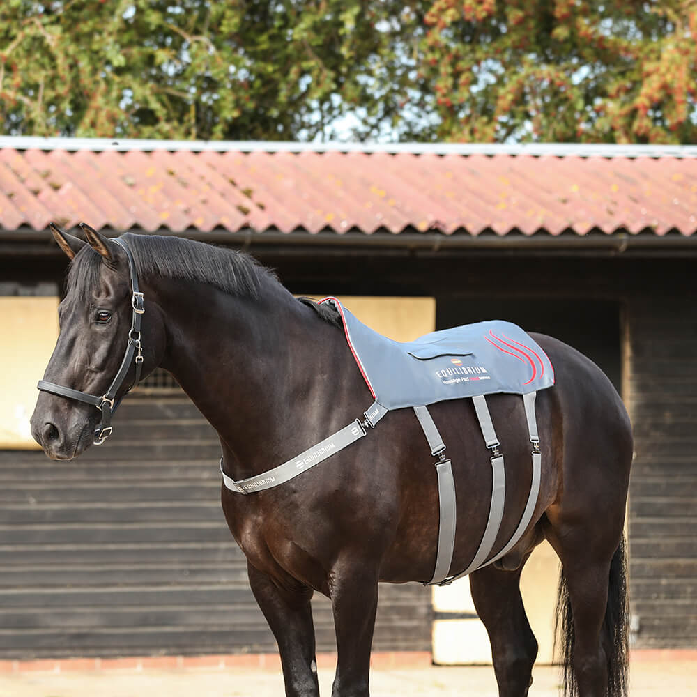 Equilibrium Massage Pad Heatsense | Equine Massage Therapy