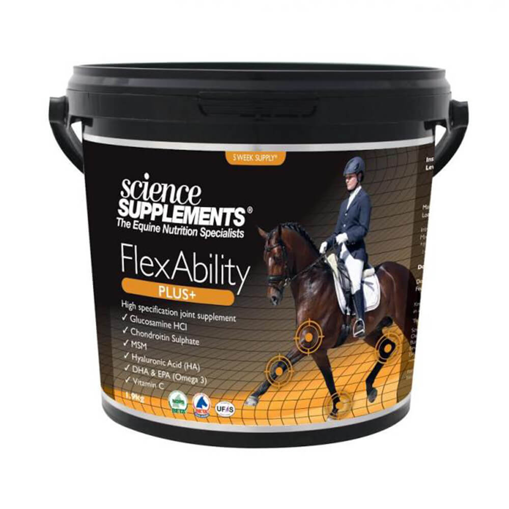 Blog | Best Joint Supplements For Horses