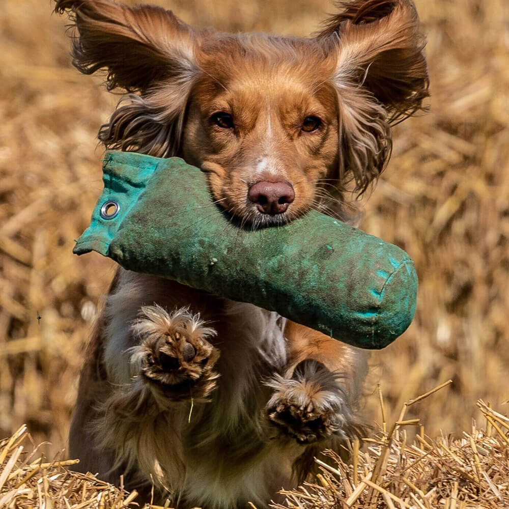 Blog | UK Shooting Season for Game | Chelford Farm Supplies