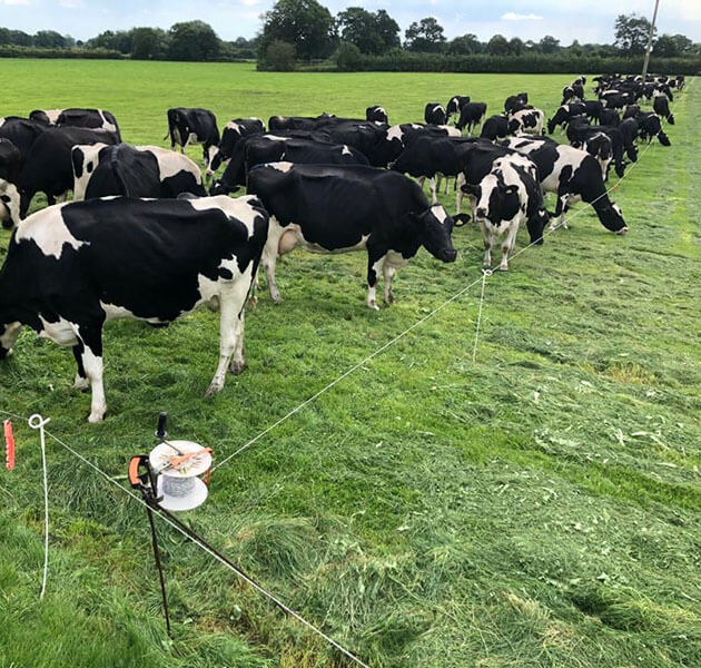 Preparing For The Big Spring Turnout | Chelford Farm Supplies