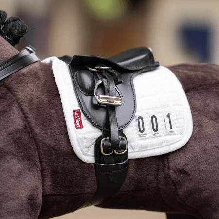 Meet the New LeMieux Valegro Toy Pony & Must-Have Accessories!