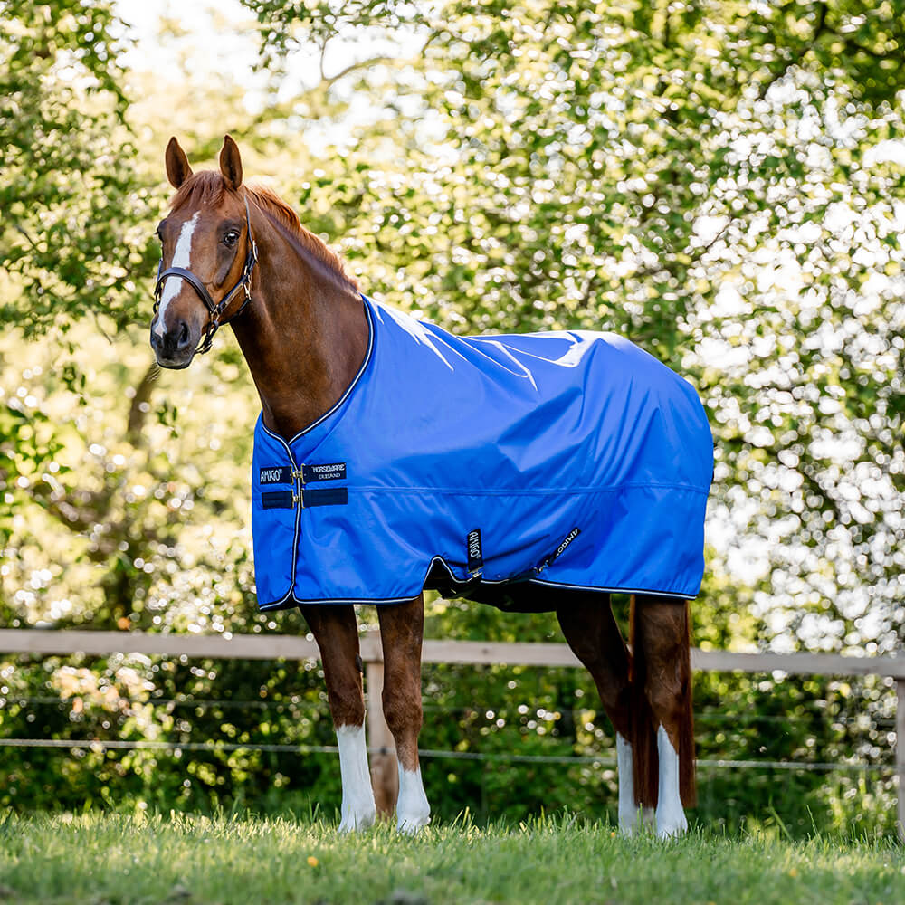 Amigo Rugs | Affordable Rugs For Horses | Chelford Farm Supplies