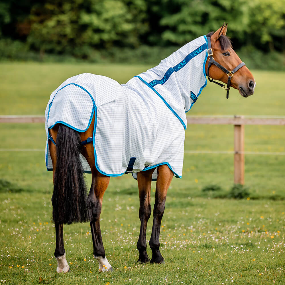 Amigo Rugs | Affordable Rugs For Horses | Chelford Farm Supplies