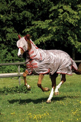 Blog | Horseware Mio Fly Rug | Horse Fly Rugs