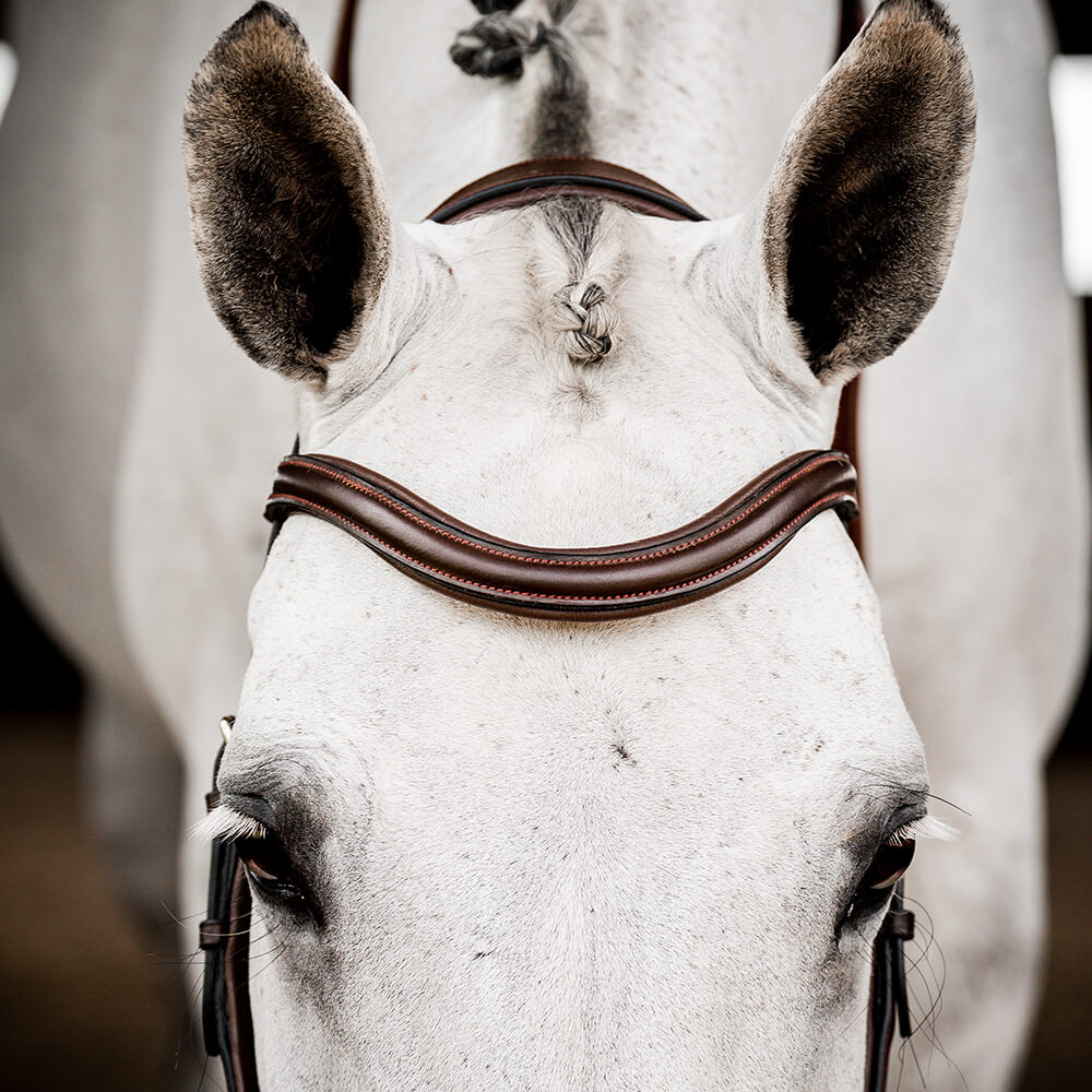 How Do Micklem Bridles Work | Chelford Farm Supplies