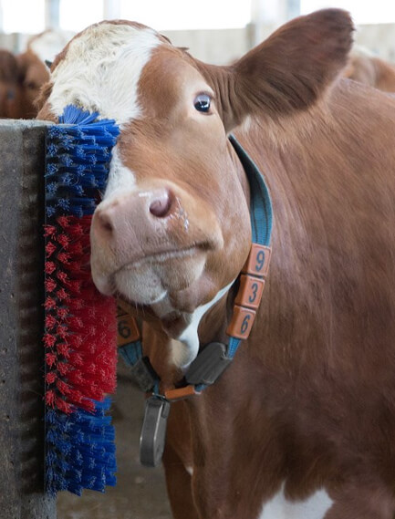 Equestrian, Farming & Country Store | Chelford Farm Supplies